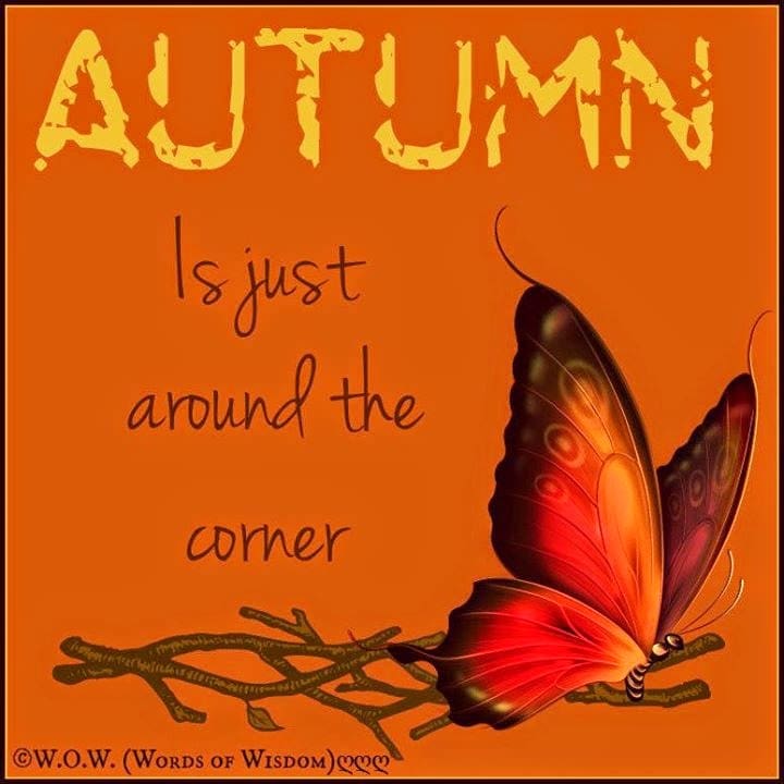 Autumn is Around the Corner - Eagle Point & the Upper Rogue Chamber of ...